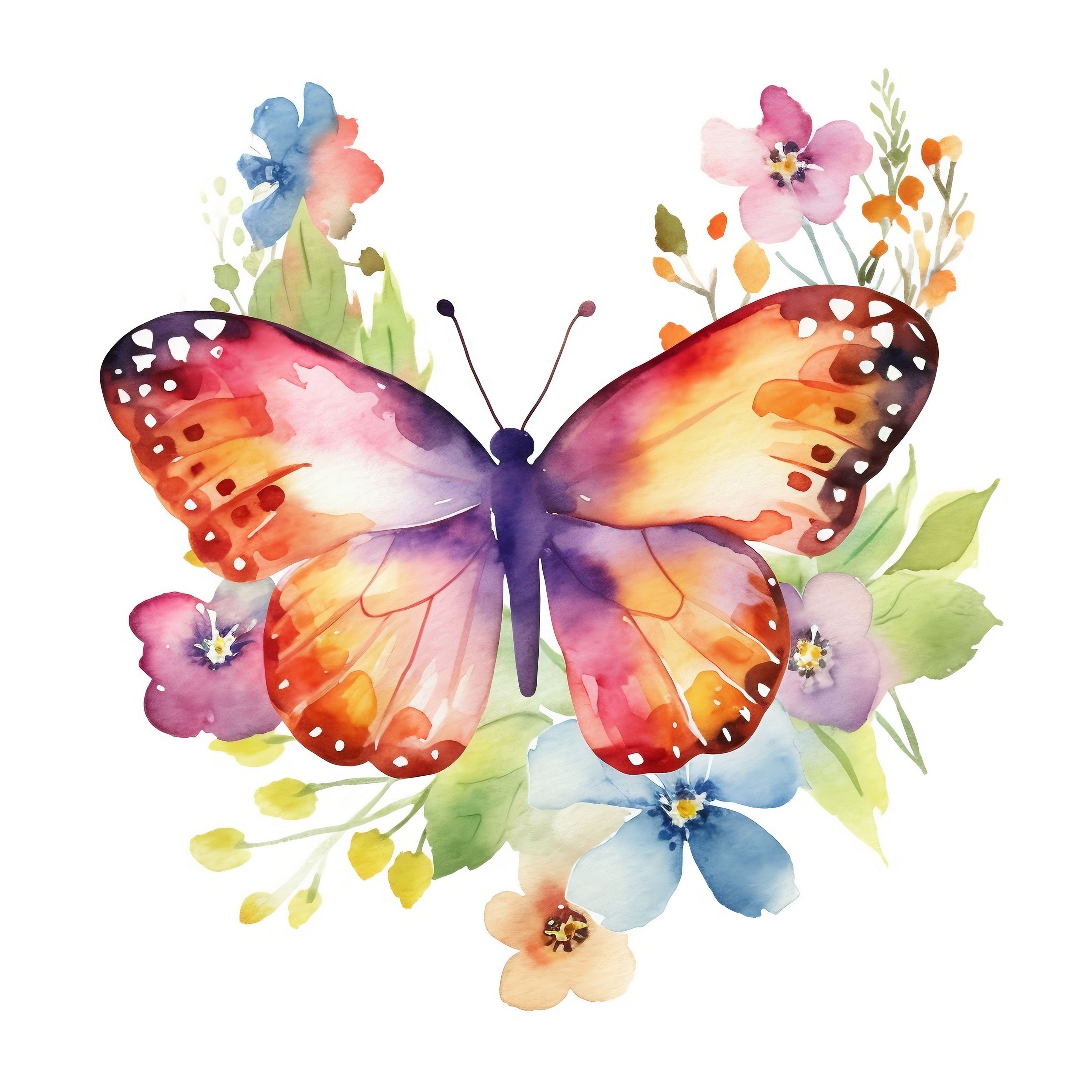 Spring Butterfly Clipart