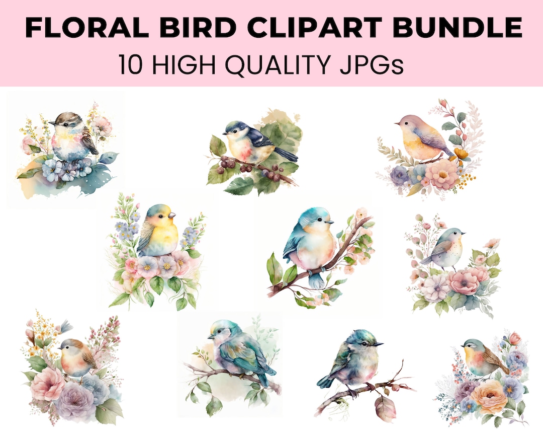 Floral Bird Clip Art Bundle Set of 10 High-quality Jpgs Instant Digital ...