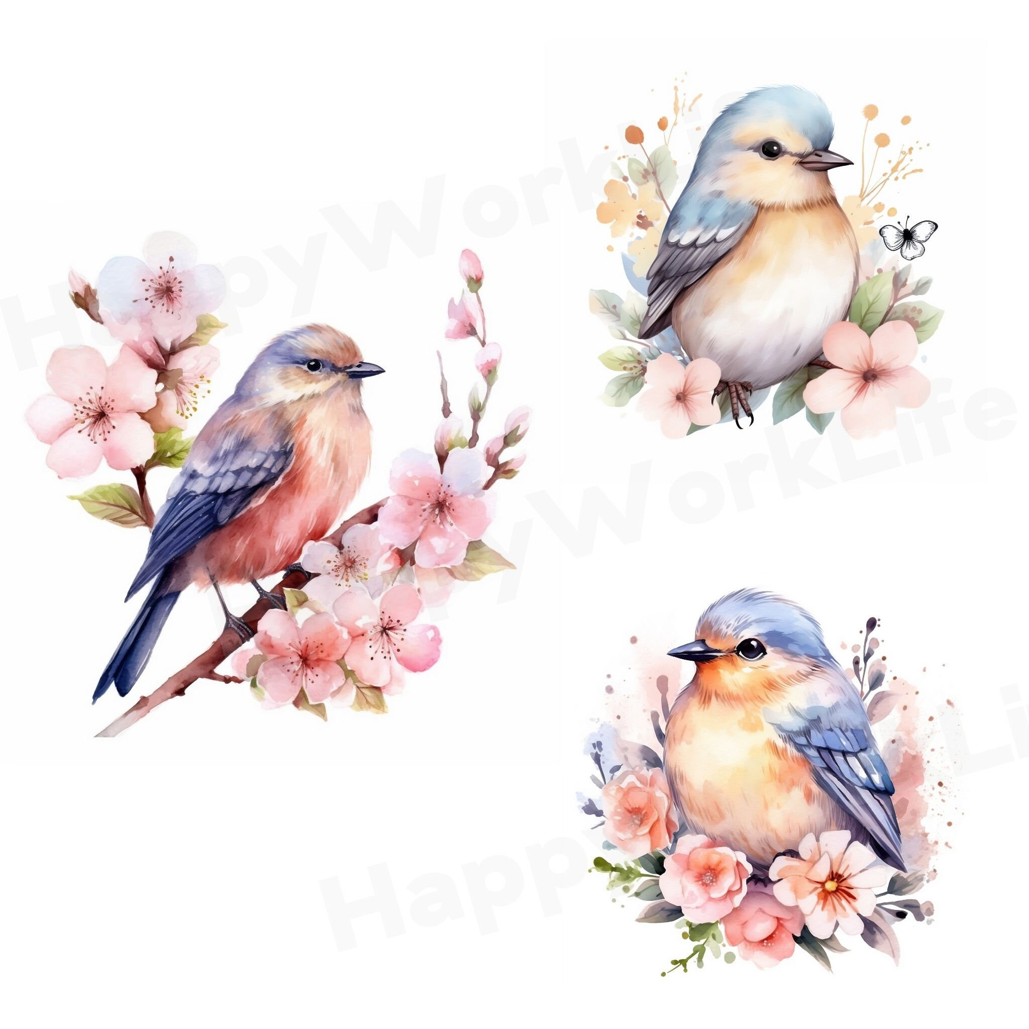 25 Spring Watercolor Bird Clipart - Birds and Flowers Clip Art Bundle ...