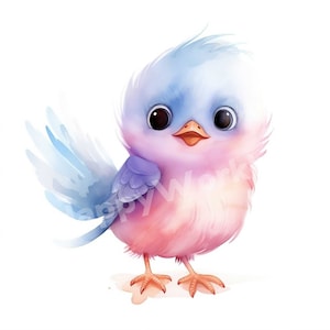 Cute Bird Clipart Bundle - Set of 10 Watercolor Birds & Funny Baby ...