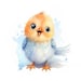 Cute Bird Clipart Bundle - Set of 10 Watercolor Birds & Funny Baby ...