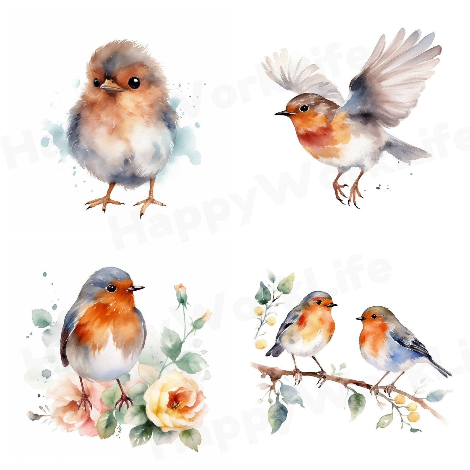 Set of 12 Robin Bird Clipart Images - Cute Bird Clipart Pngs ...