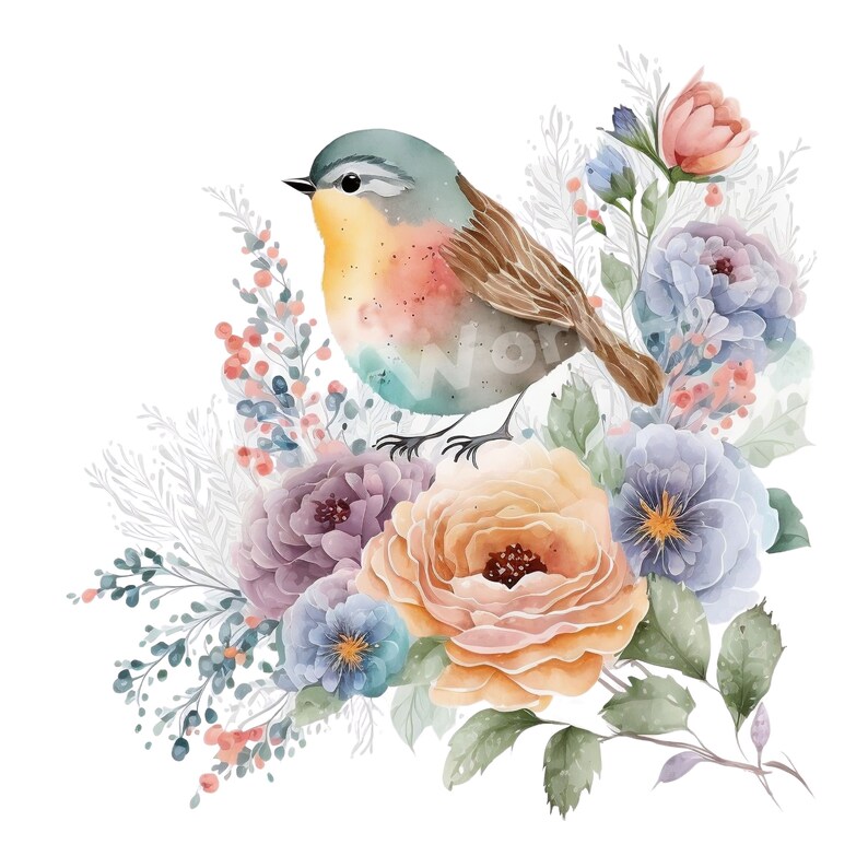 Watercolor Bird Clip Art Bundle: 10 High Quality Jpg's Digital Download ...