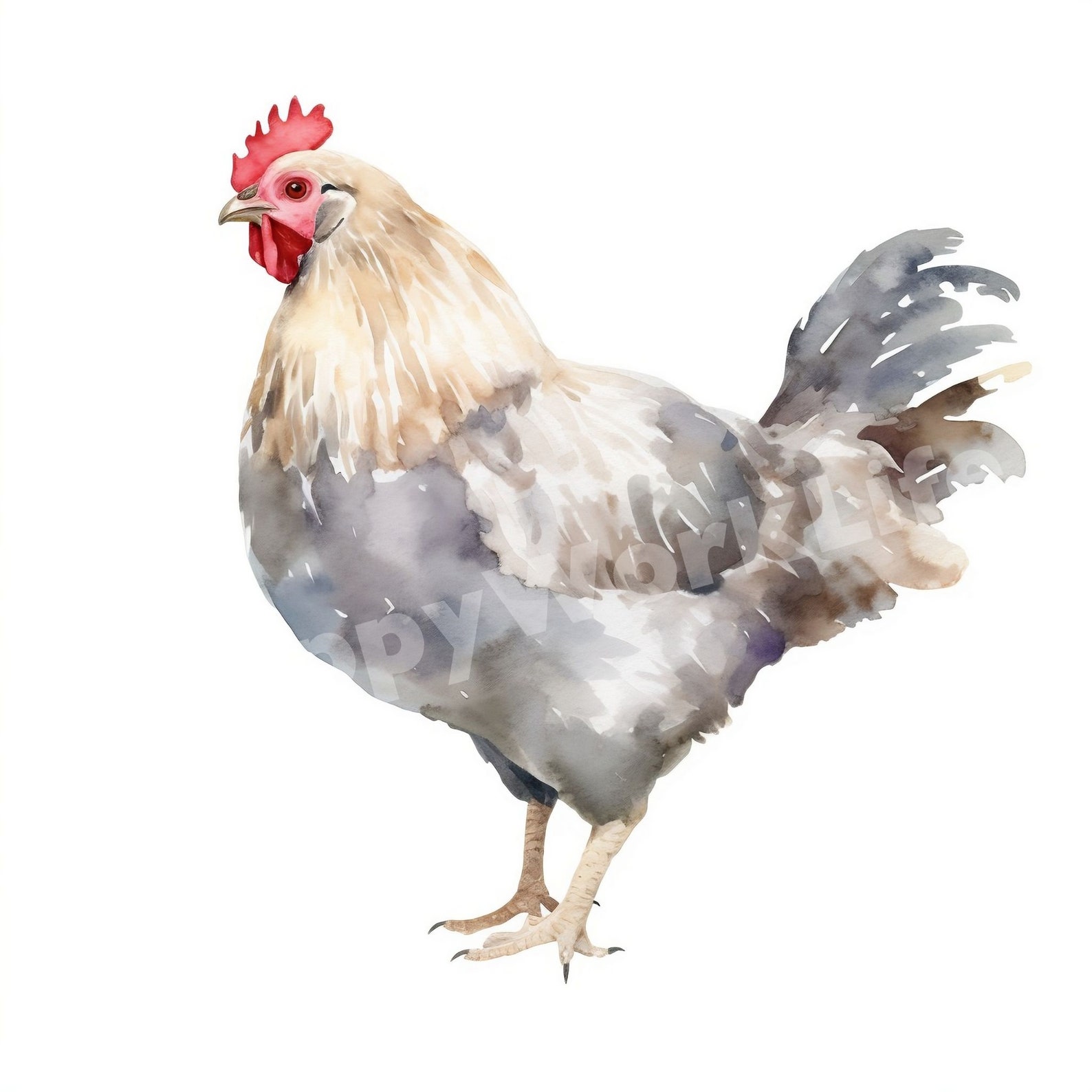 Watercolor Chicken Clipart Collection for Paper Crafting Enthusiasts ...