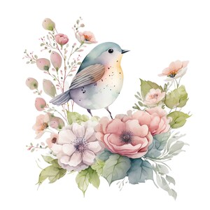 Floral Bird Clip Art Bundle Set of 10 High-quality Jpgs Instant Digital ...