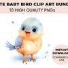 Cute Bird Clipart Bundle Set of 10 Watercolor Birds & Funny Baby Birds ...