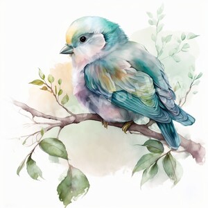 Watercolor Bird Clip Art Bundle: 10 High Quality Jpg's Digital Download ...