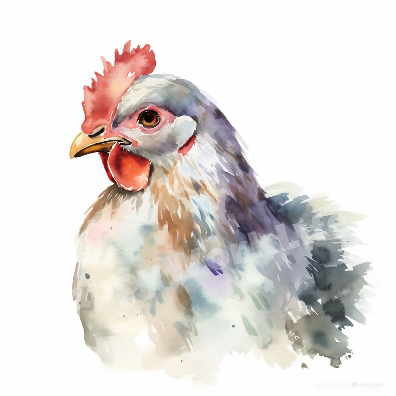 Watercolor Chicken Clipart Collection for Paper Crafting Enthusiasts ...