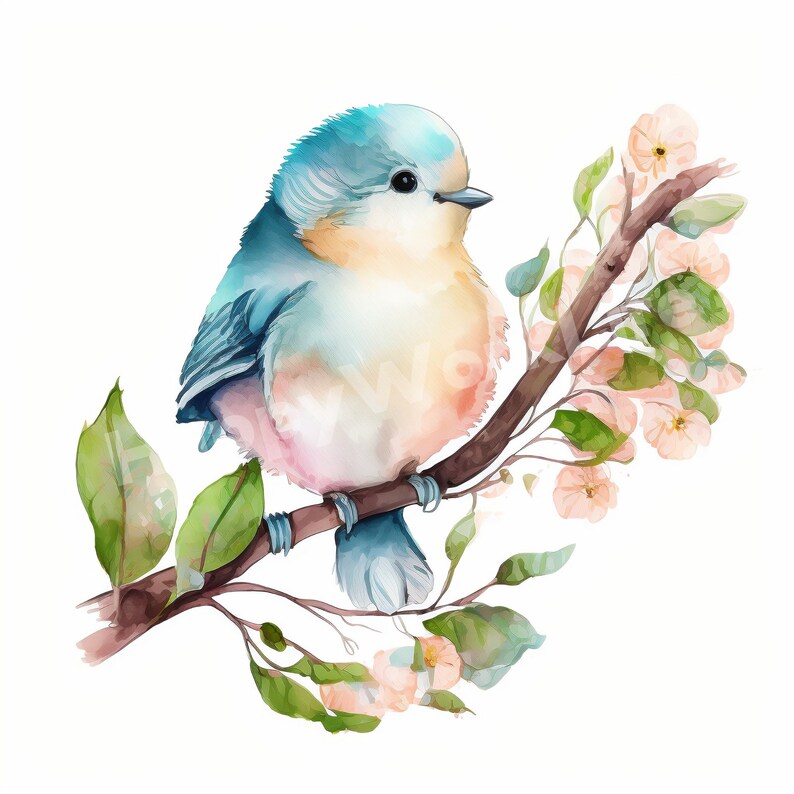 Floral Bird Clip Art Bundle Set of 10 High-quality Jpgs Instant Digital ...