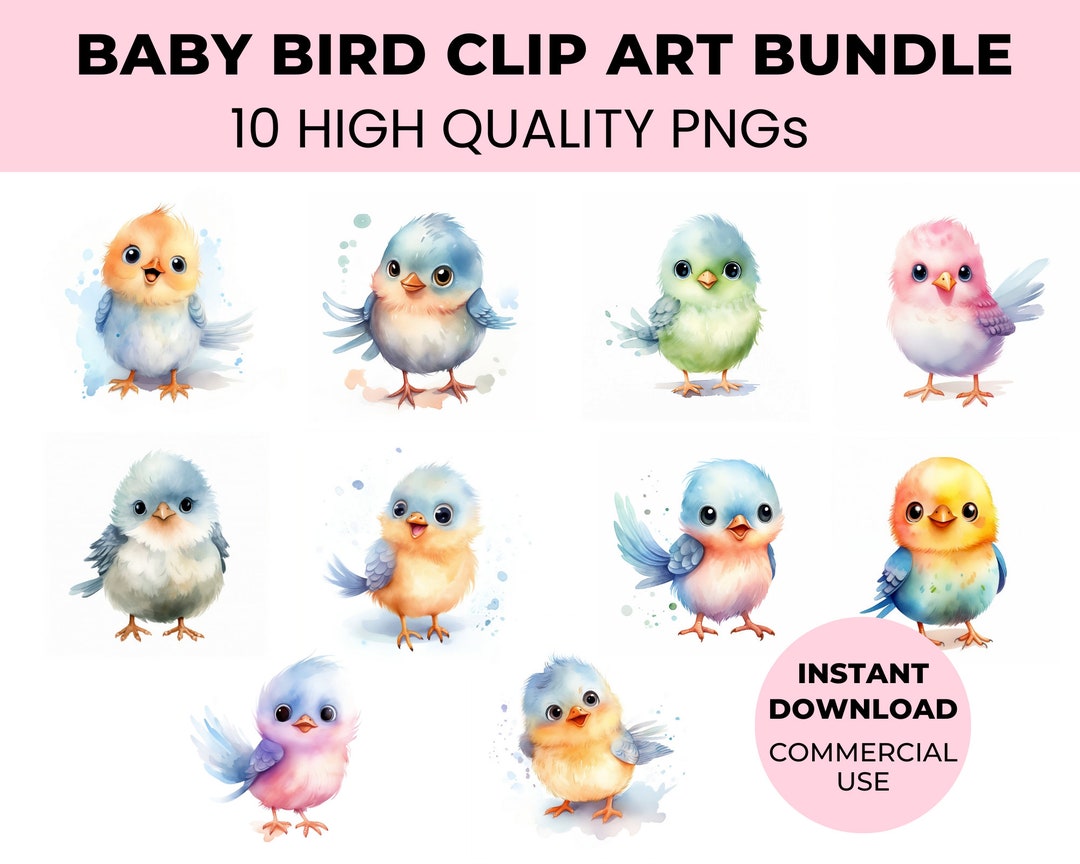 Cute Bird Clipart Bundle - Set of 10 Watercolor Birds & Funny Baby ...