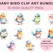 25 Spring Watercolor Bird Clipart Birds and Flowers Clip Art Bundle: 25 ...