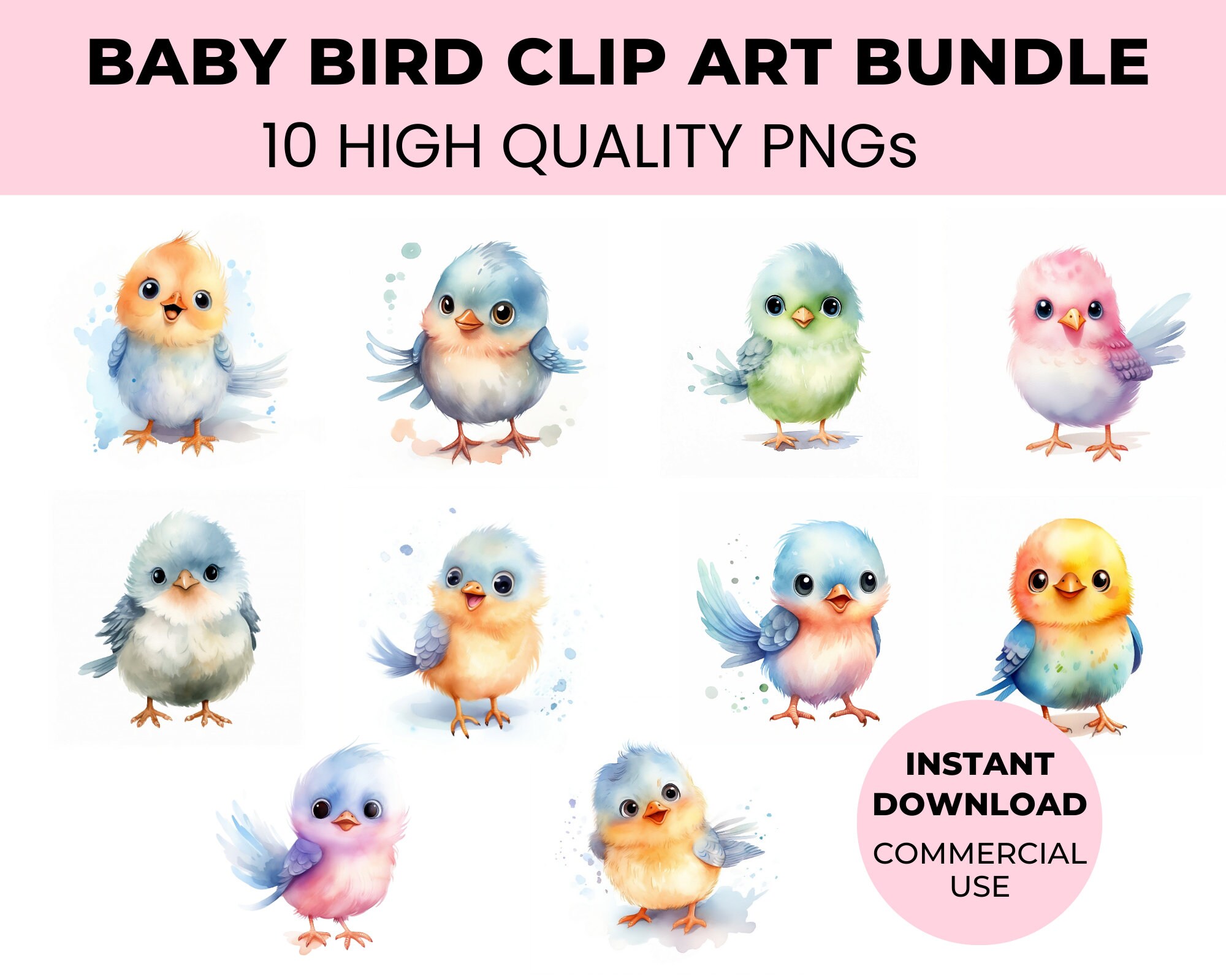 Cute Bird Clipart Bundle - Set of 10 Watercolor Birds & Funny Baby ...