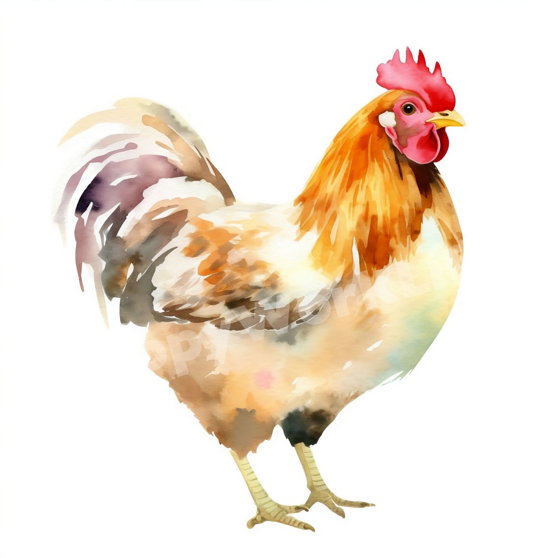 Watercolor Chicken Clipart Collection for Paper Crafting Enthusiasts ...