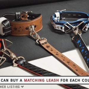 Pishock Edition Premium Leather Shock Collar, Lockable Black Electric ...