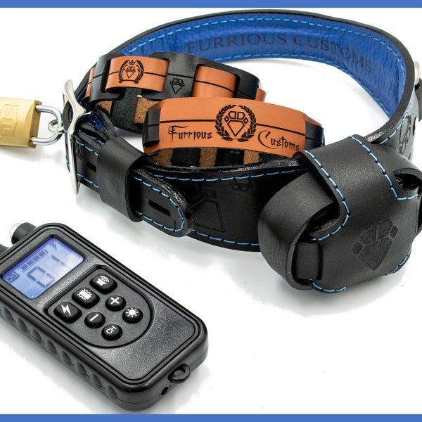 Locking Shock Collar - Etsy
