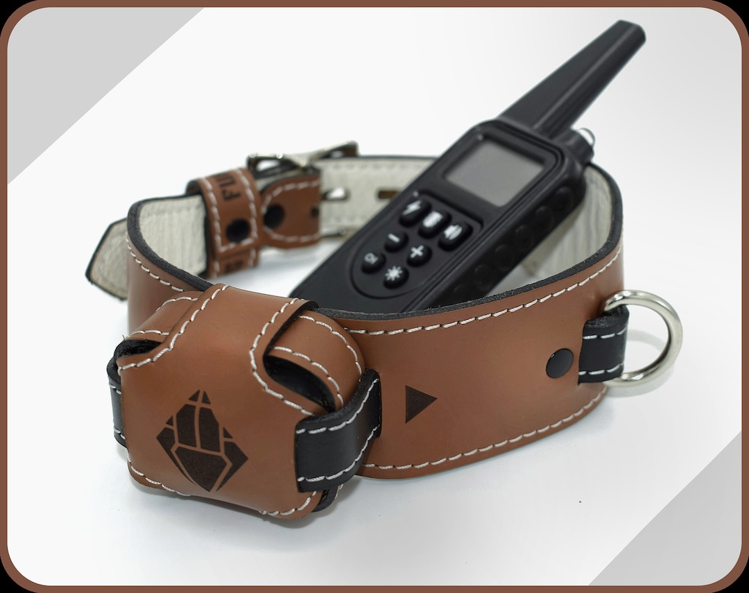 Genuine Leather Shock Collar, Custom Locking BDSM Training Ecollar ...