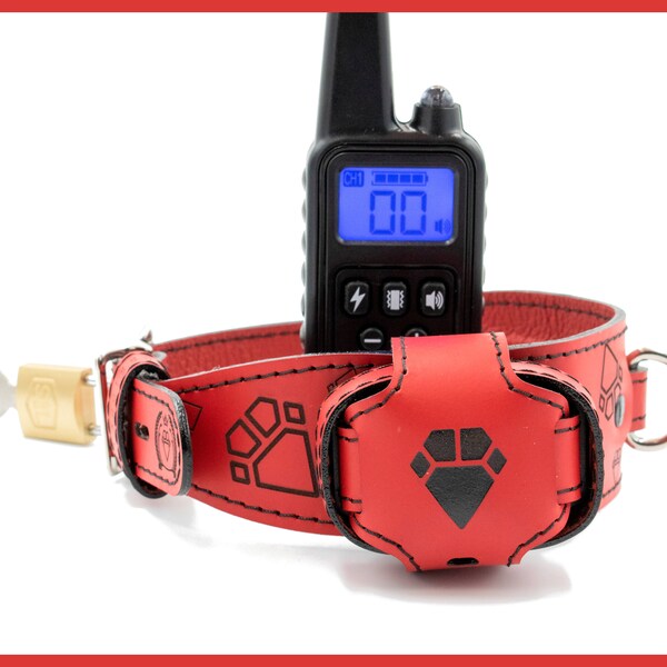 Locking Shock Collar - Etsy