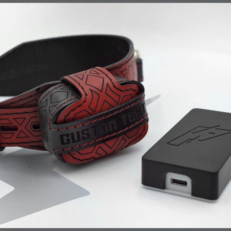 Shock Collar for Humans - Etsy