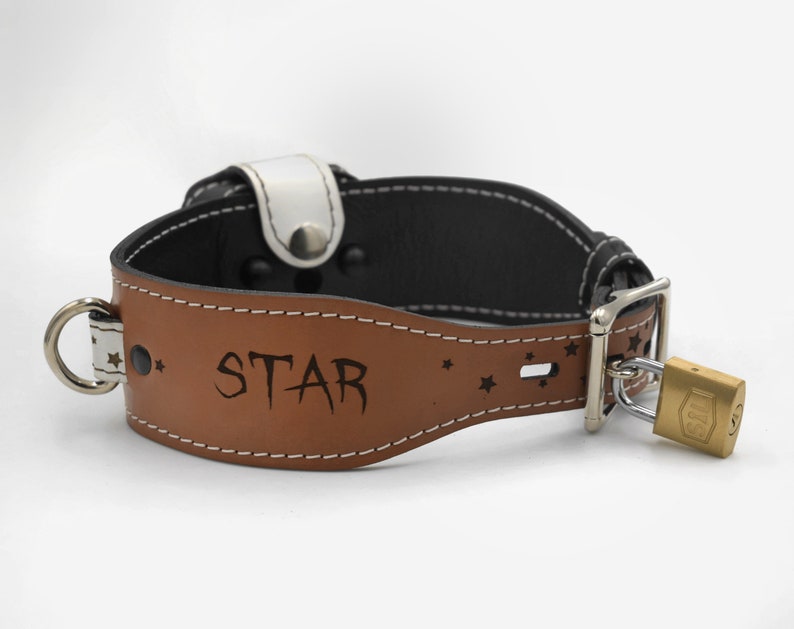 Premium Leather Shock Collar, Star Engraved Beautiful Handmade Estim ...