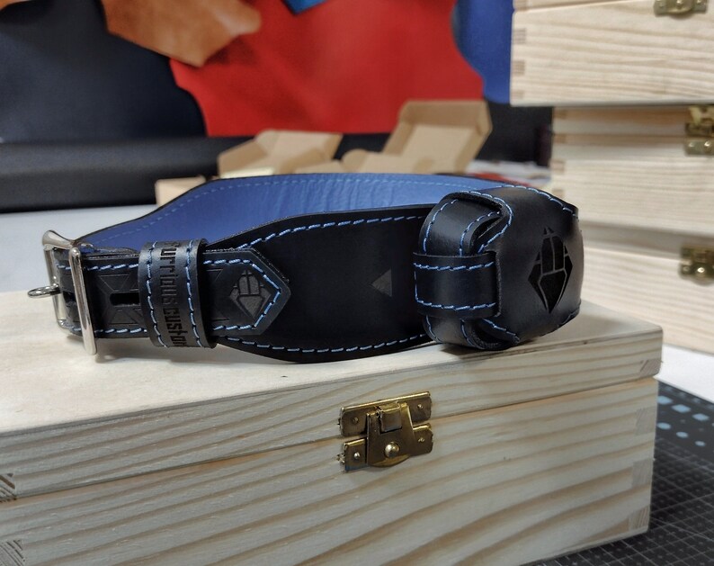 Pishock Genuine Leather Locking Shock Collar, Custom Puppy Training ...