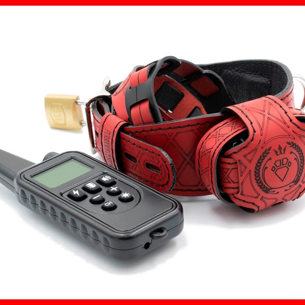 Locking Shock Collar - Etsy