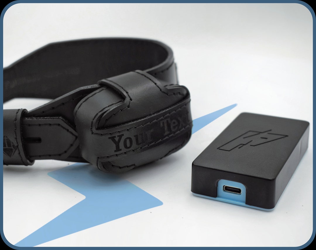 Pishock Edition Premium Leather Shock Collar, Lockable Black Electric Collar, Estim BDSM ...