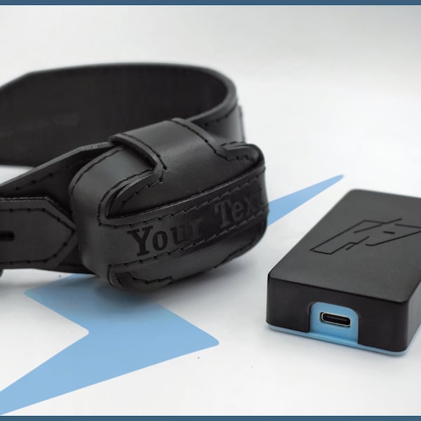 Shock Collar for Humans - Etsy