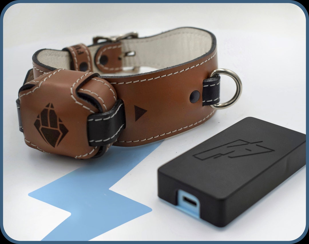 Pishock Genuine Leather Locking Shock Collar, Custom Puppy Training Estim, Wifi Electric Leather ...