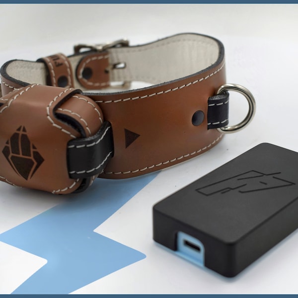 Electric Shock Toy - Etsy