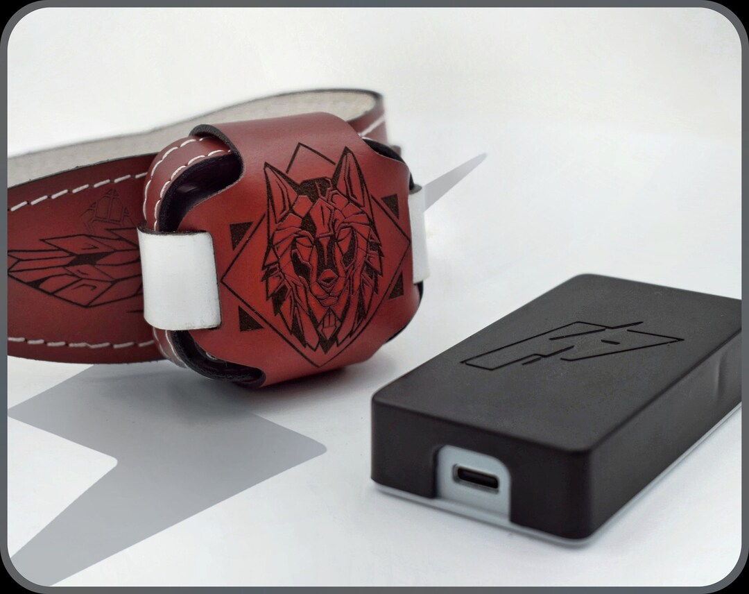 Pishock Premium Leather Shock Collar,internet Wifi Estim Toy, Engraved ...