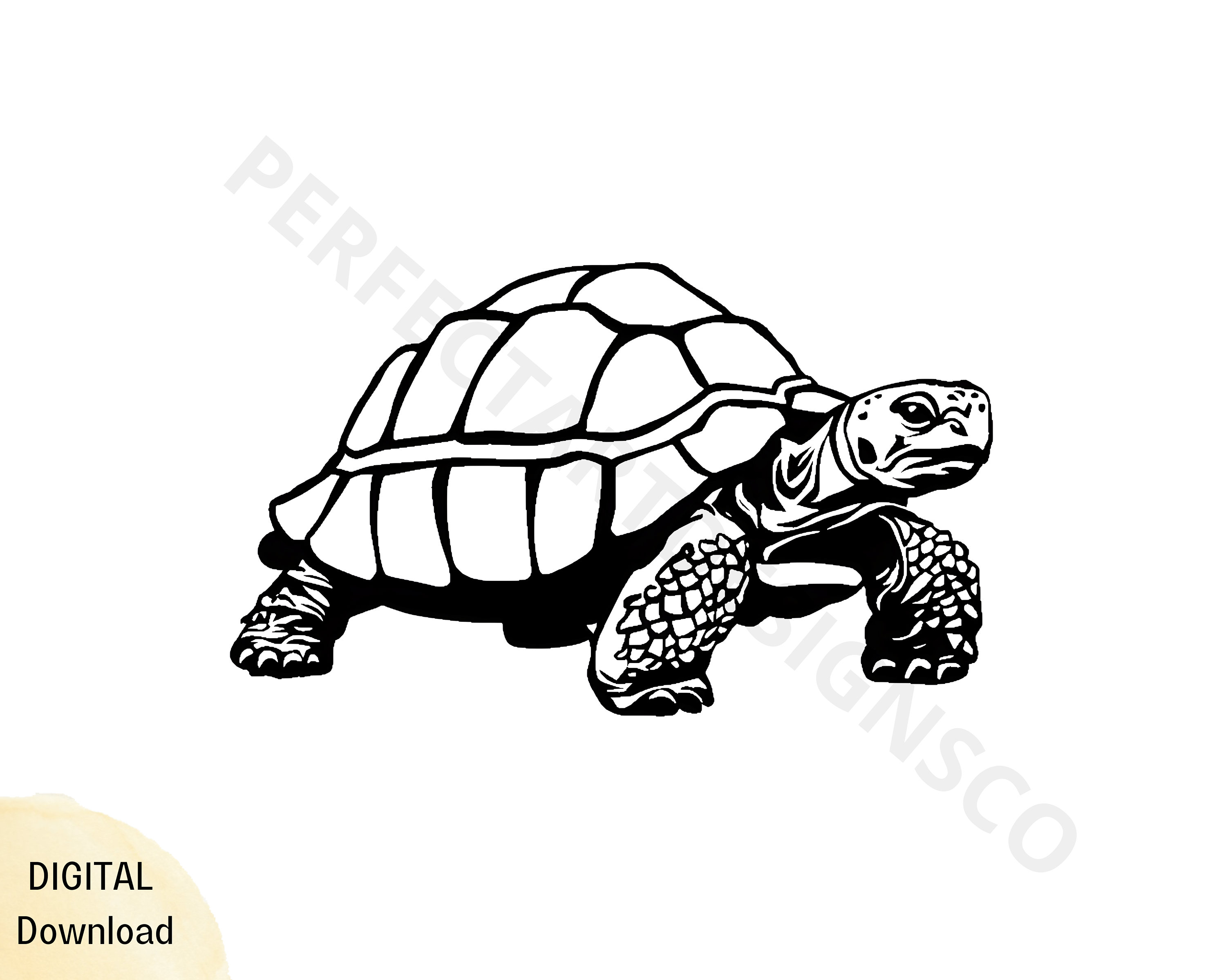 Tortoise Outline Svg, Tortoise Clipart, Tortoise Svg for Shirt, Svg File for Cricut, Tortoise ...