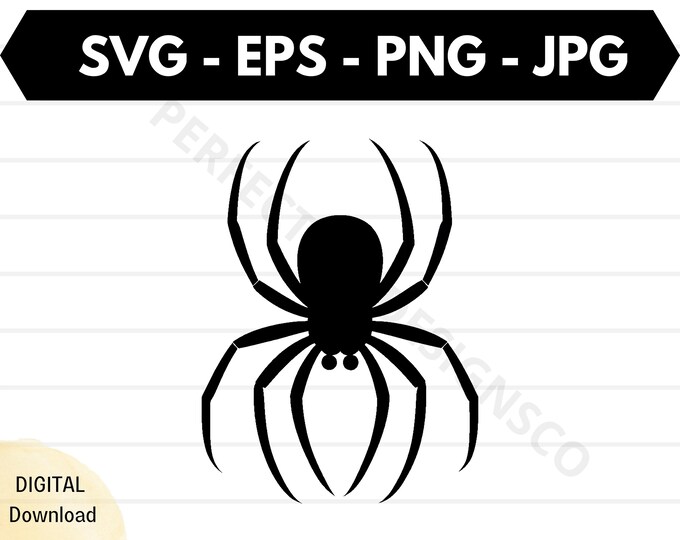 Spider SVG Digital Download Spider Graphic Digital Download Spider ...