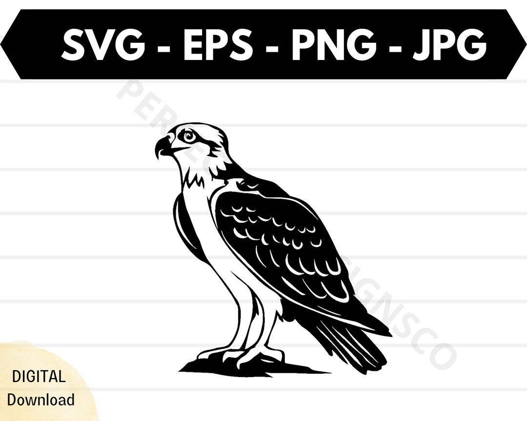 Osprey Silhouette Svg File, Osprey Cutting Svg File for Cricut, Osprey ...