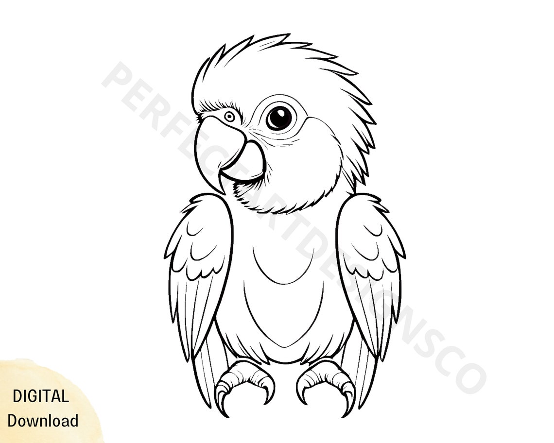 Cute Macaw Svg File, Baby Macaw Outline Svg, Macaw Clipart Svg, Macaw ...