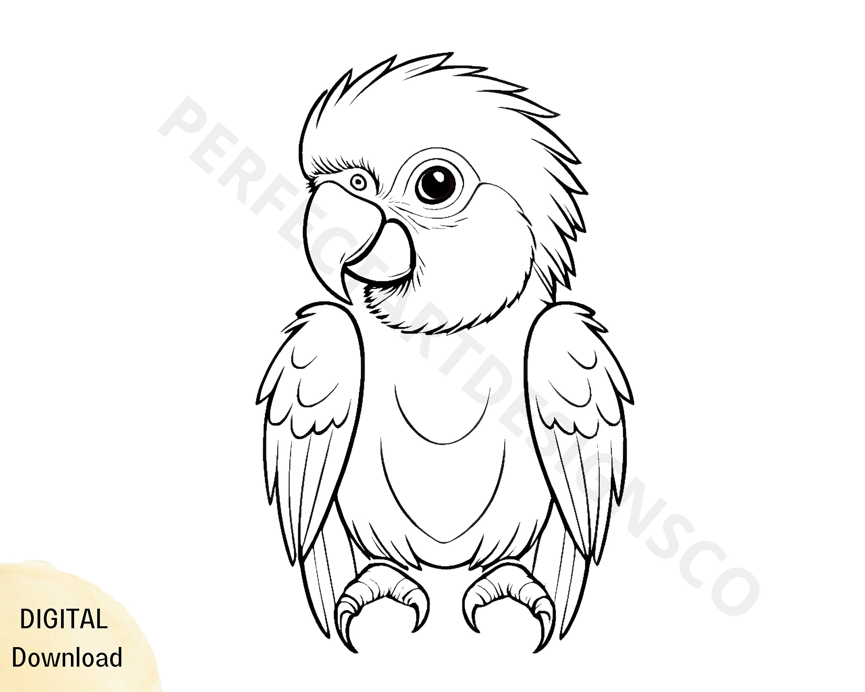 Cute Macaw Svg File, Baby Macaw Outline Svg, Macaw Clipart Svg, Macaw ...