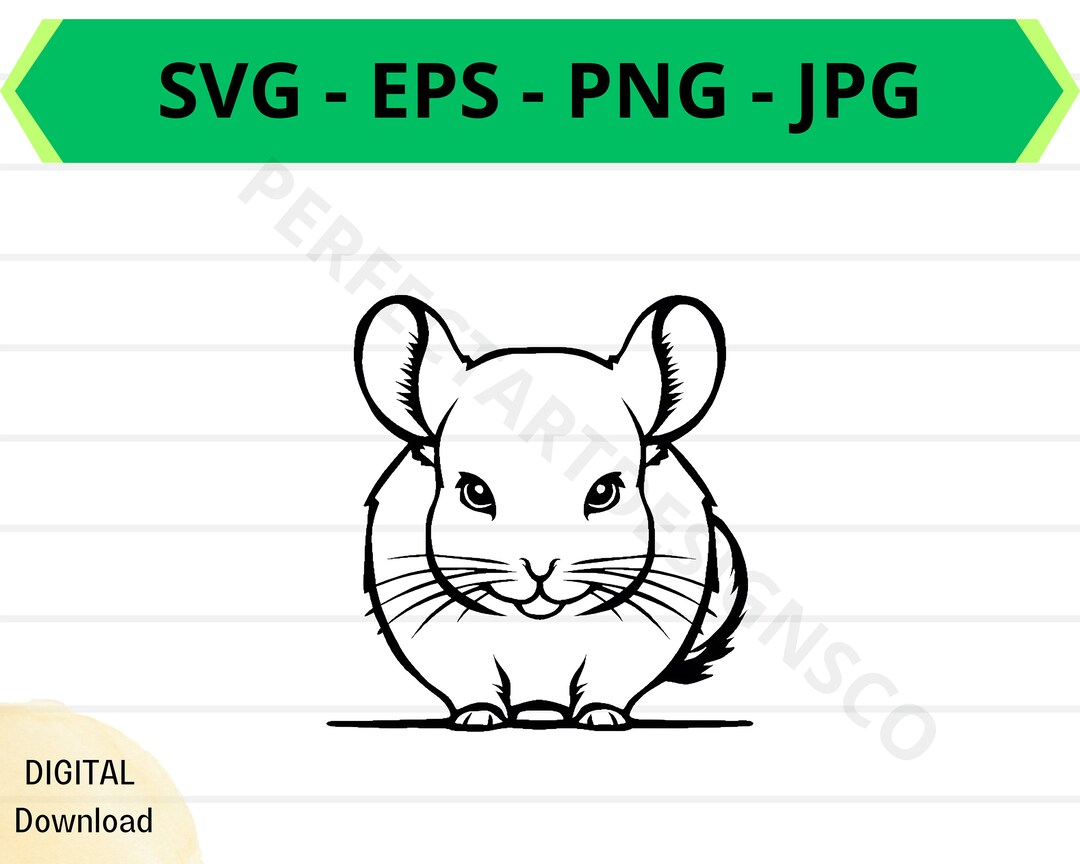 Chinchilla Outline Svg, Chinchilla Clipart, Chinchilla Svg Shirt, Svg ...
