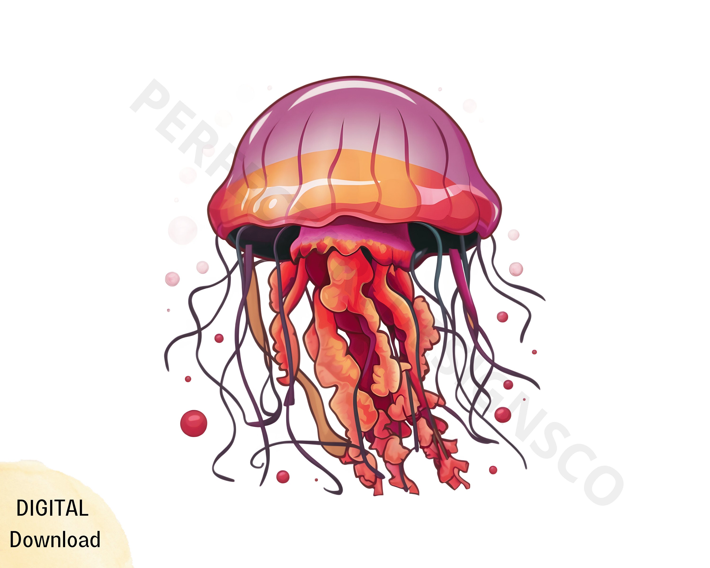 Jellyfish Svg, Jellyfish Clipart, Jellyfish Svg for Shirt, Svg File for ...
