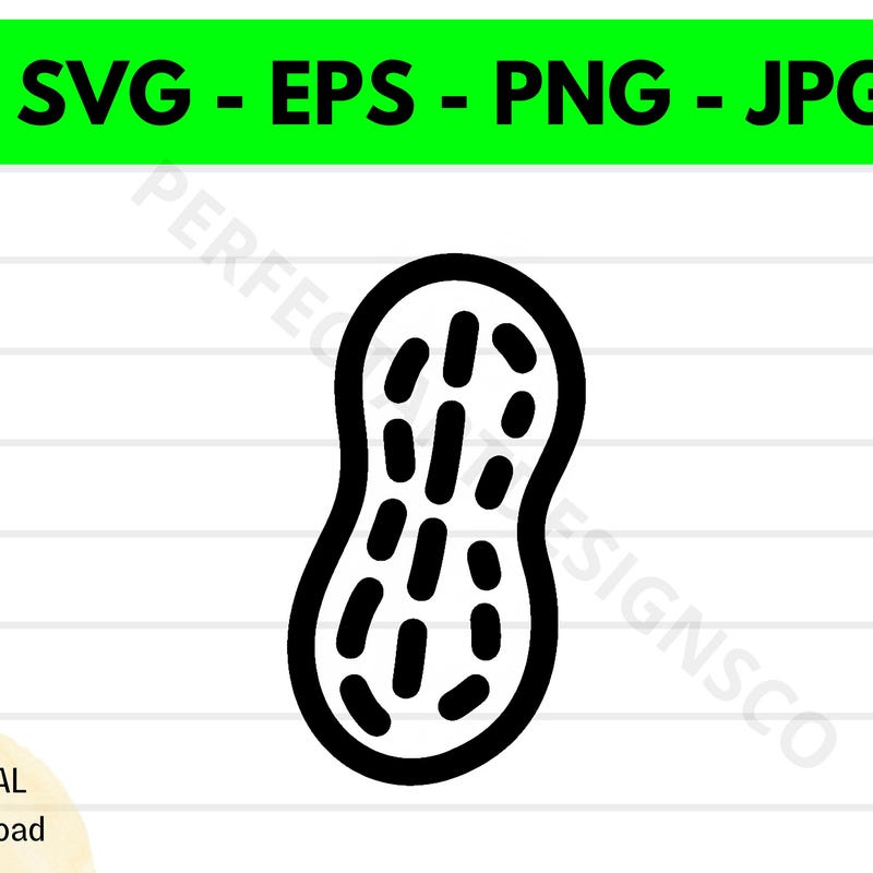 Peanut Svg - Etsy