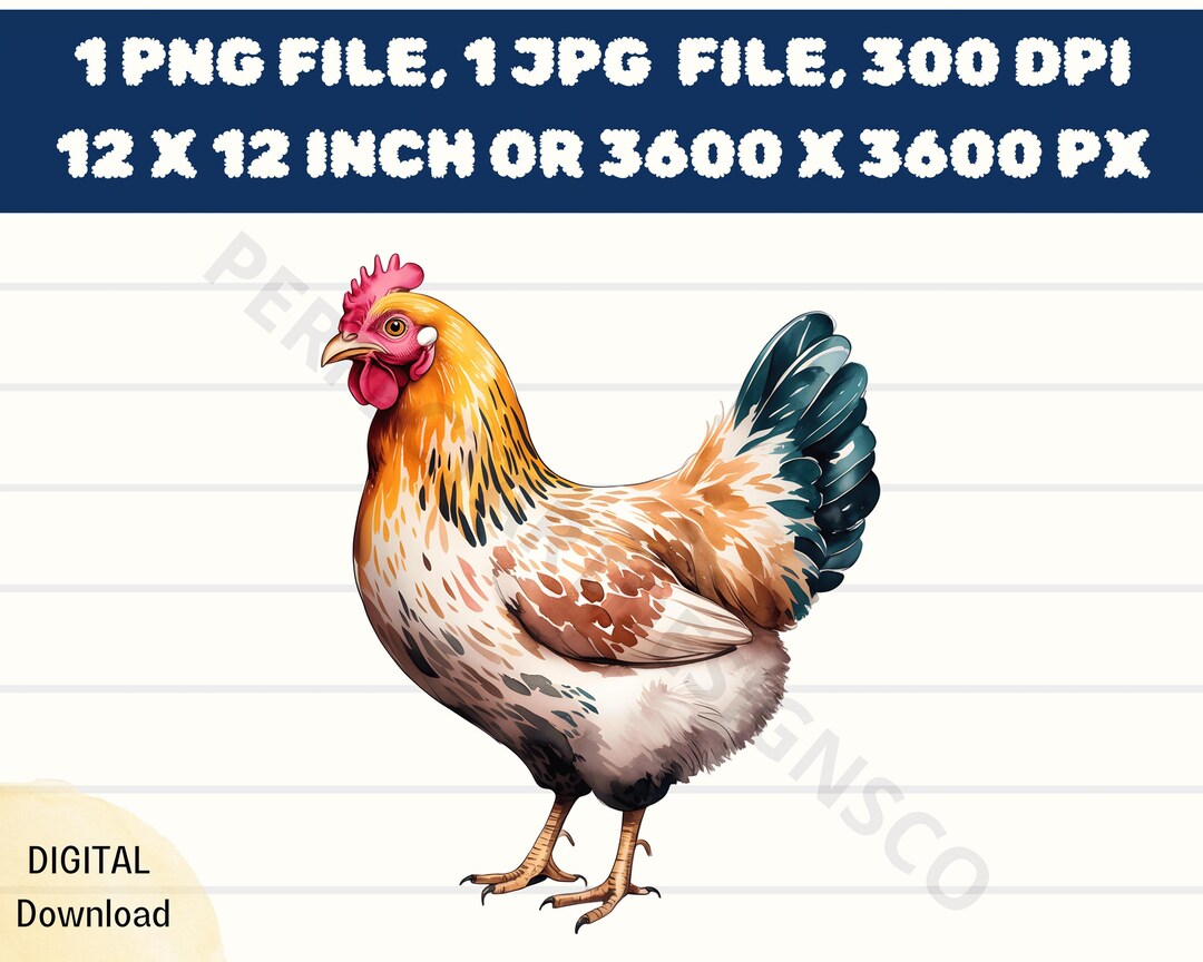 Chicken Watercolor Png Printable Download, Chicken High Quality Jpg and ...