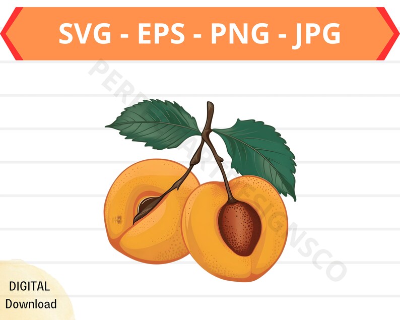 Apricot Svg, Apricot Fruit Clipart, Apricot Svg for Shirt, Svg File for ...
