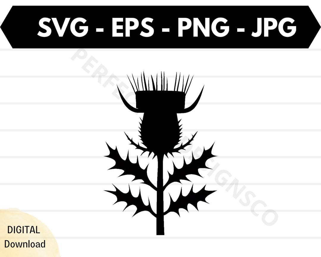 Bull Thistle Silhouette Svg File, Bull Thistle Cutting Svg File for ...