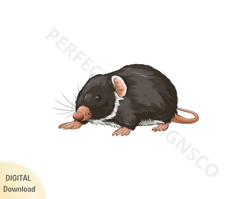 Mole Svg, Mole Clipart, Mole Svg for Shirt, Svg File for Cricut ...