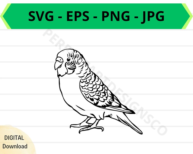 Budgie Outline Svg, Budgie Clipart, Budgie Svg for Shirt, Svg File for ...