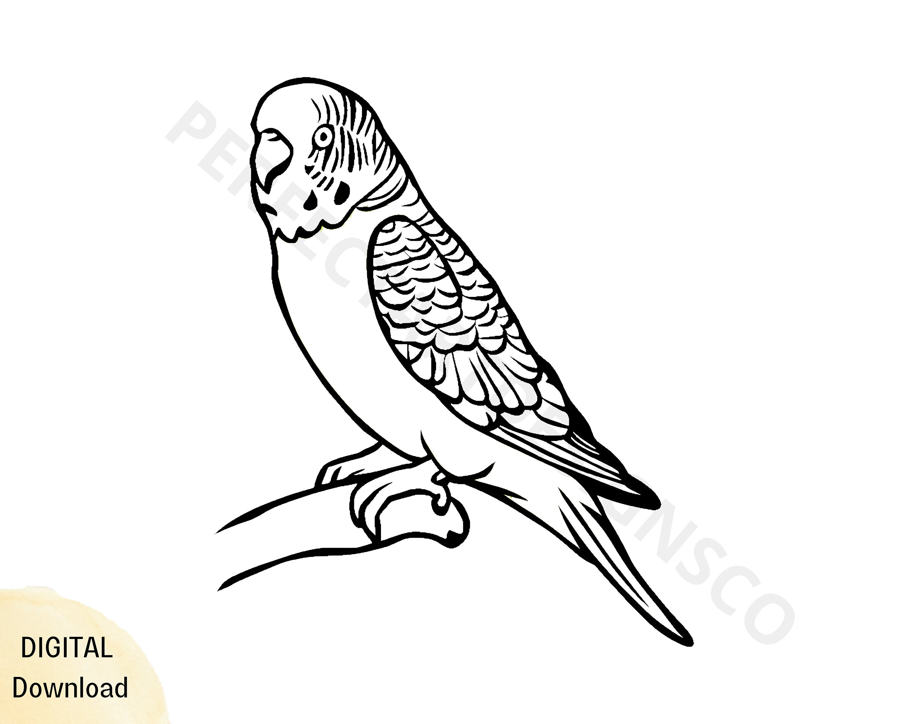 Parakeet Outline Svg, Parakeet Clipart, Parakeet Svg for Shirt, Svg ...