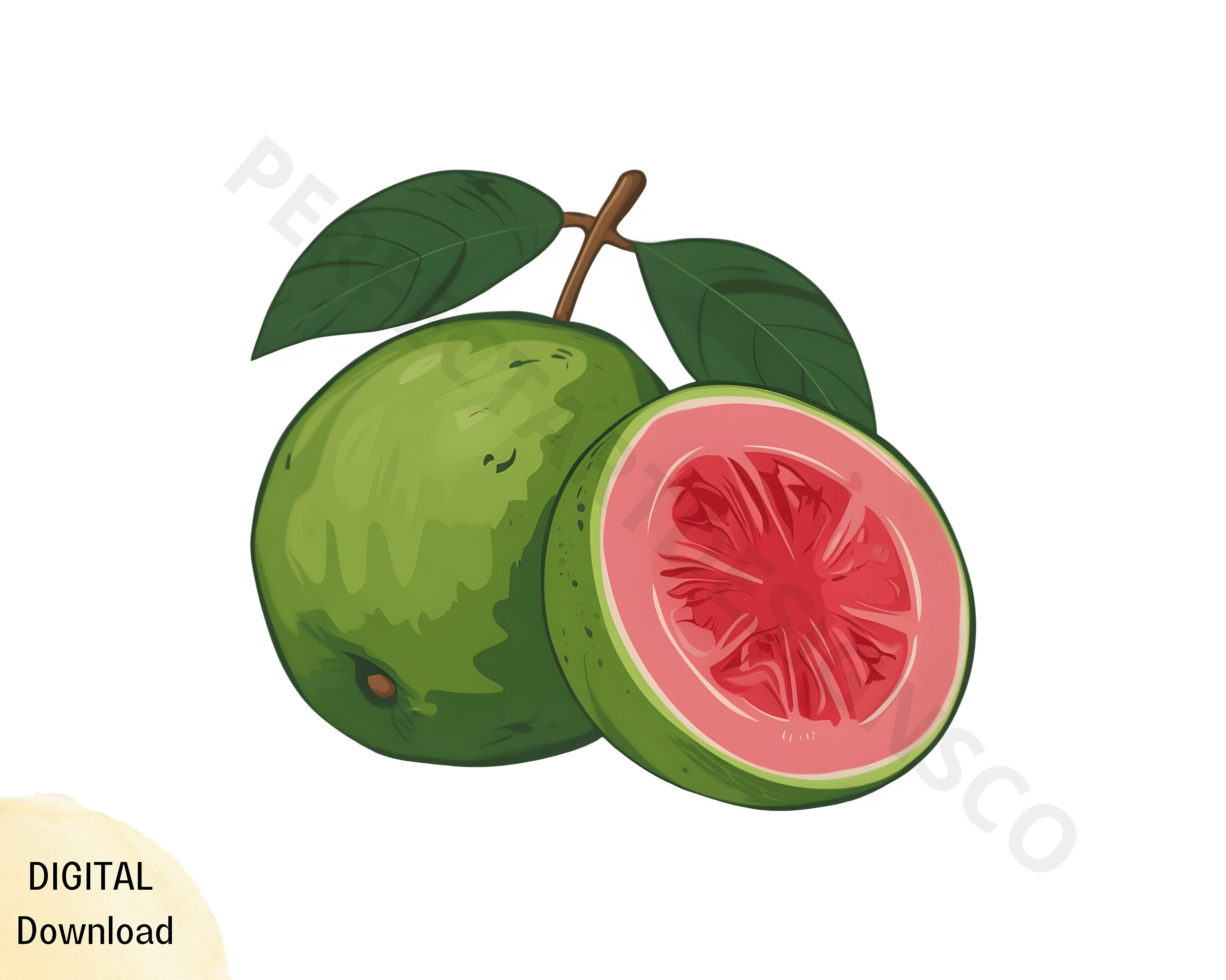 Guava Svg, Guava Fruit Clipart, Guava Svg for Shirt, Svg File for ...