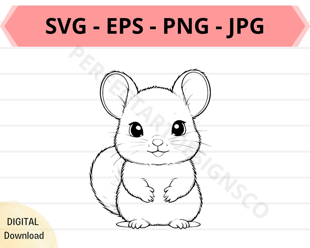 Cute Chinchilla Svg File, Chinchilla Outline Svg, Chinchilla Clipart ...