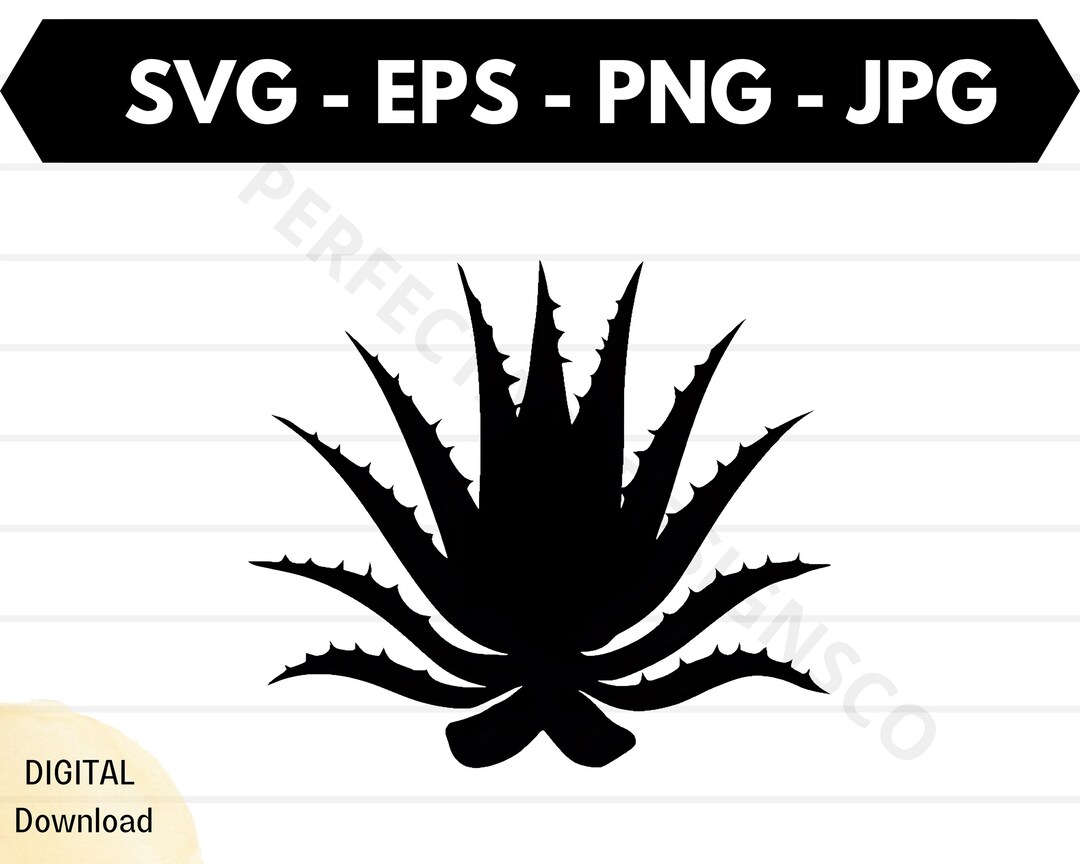 Aloe Silhouette Svg File, Aloe Cutting Svg File for Cricut, Aloe ...