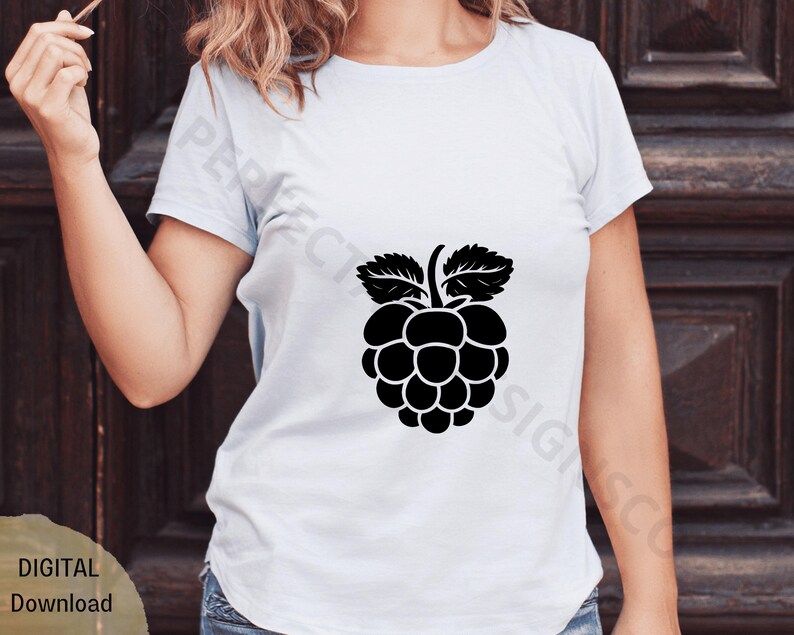 Raspberry Outline Svg, Raspberry Fruit Clipart, Raspberry Svg for Shirt ...