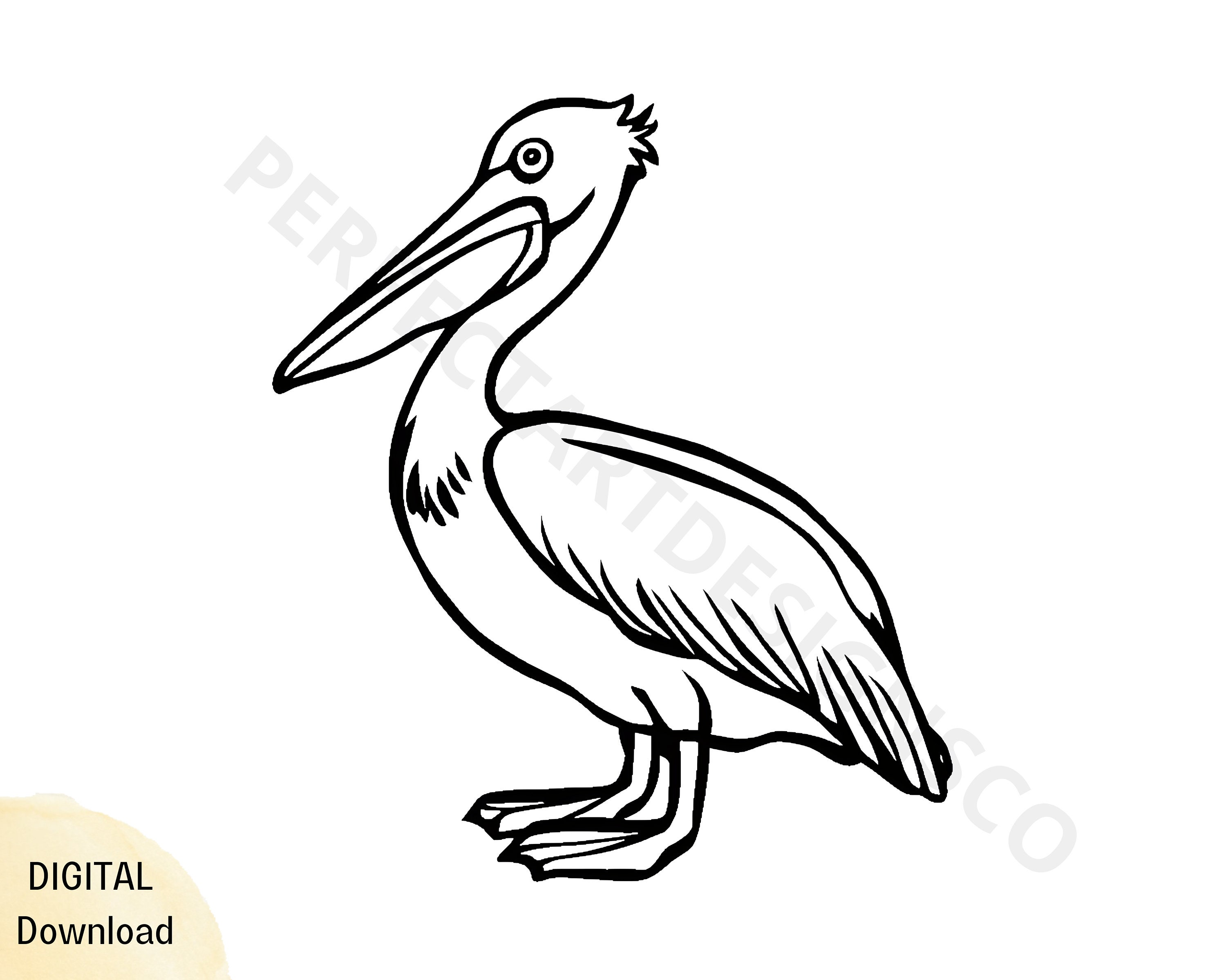 Pelican Outline Svg, Pelican Clipart, Pelican Svg for Shirt, Svg File ...