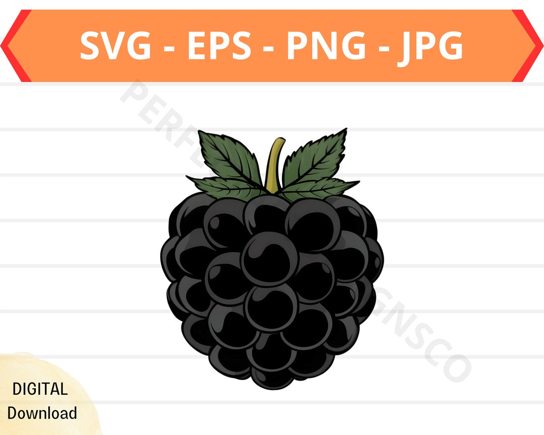 Blackberry Svg, Blackberry Fruit Clipart, Blackberry Svg Shirt, Svg ...